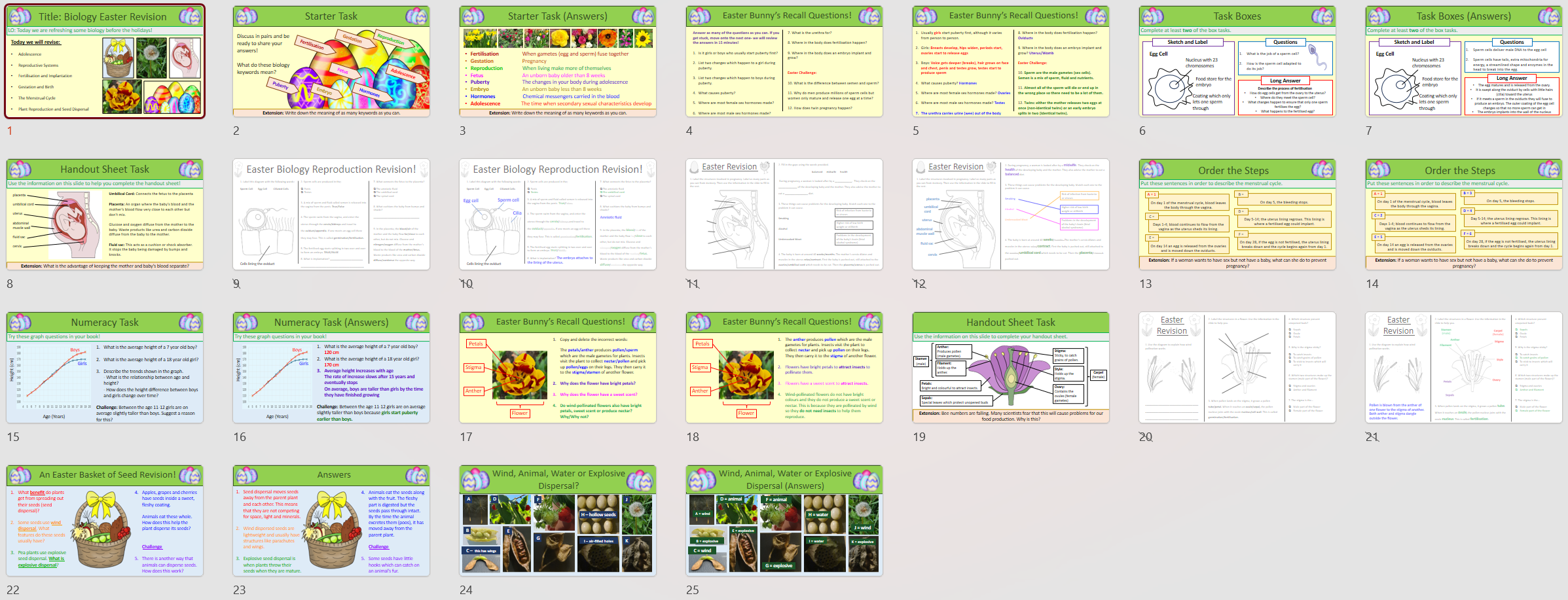 Easter Biology Revision ~ KS3 ~ Year 8 | Teaching Resources