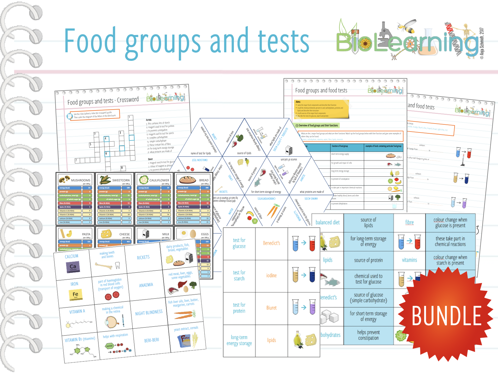 Food Groups And Tests 8x Games And Activities KS3 4 Teaching food-groups-and-tests-8x-games-and-activities-ks3-4-teaching
