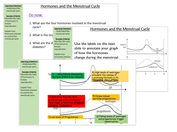 Hormones and the Menstrual Cycle | Teaching Resources