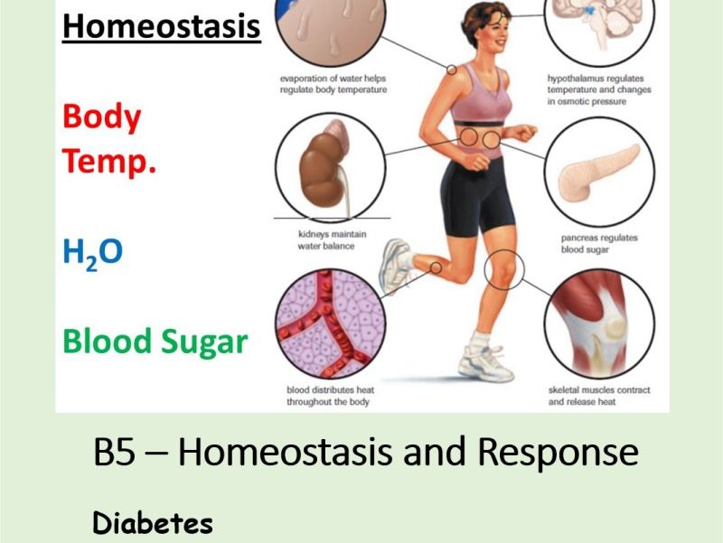 Mister_Dawg's Shop - Teaching Resources - TES