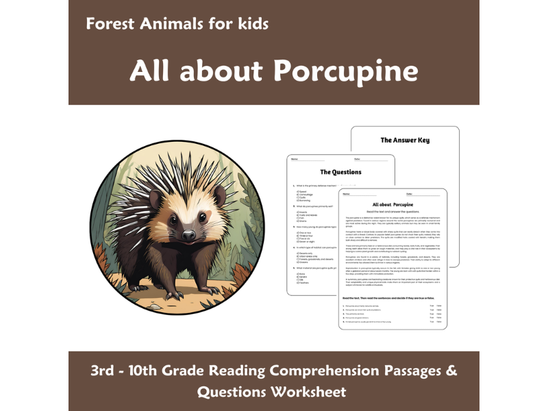 All About Porcupines - Reading Comprehension Passages & Questions ...