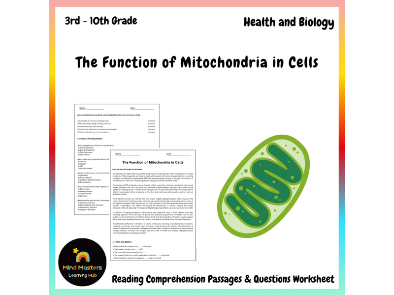 The Function of Mitochondria in Cells Reading Comprehension Passages ...