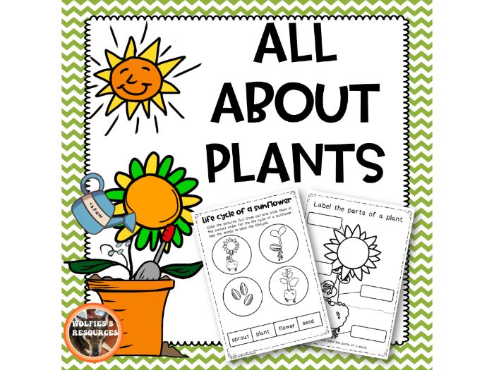 Plants | Teaching Resources