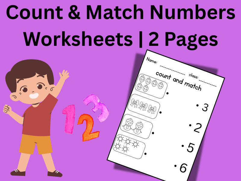 Count & Match Numbers Worksheets | 2 Pages | Teaching Resources