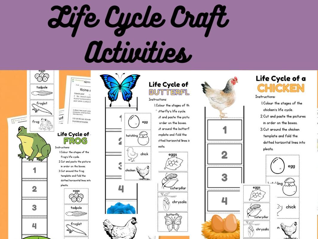 Primary Science Resources: Worksheets, Ideas and Activities | Tes