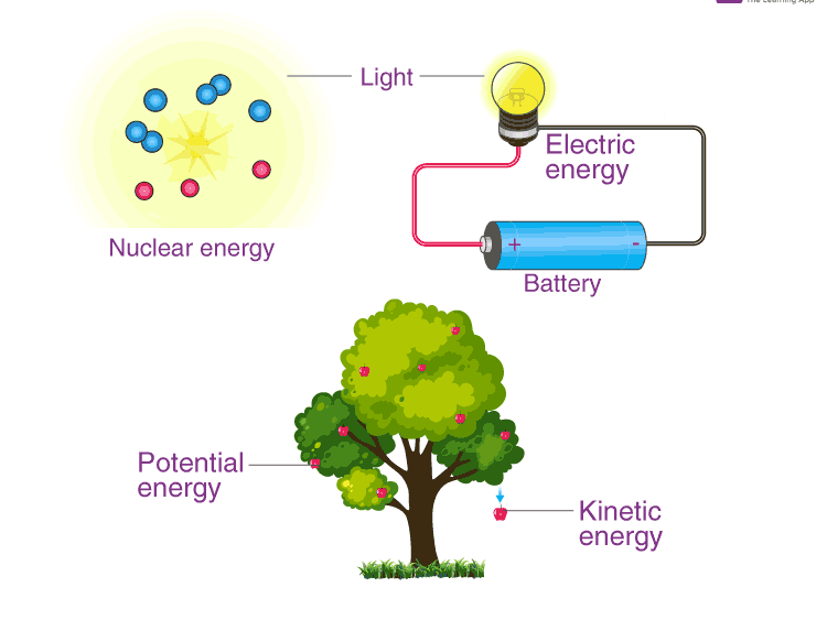 Conservation of energy | Teaching Resources