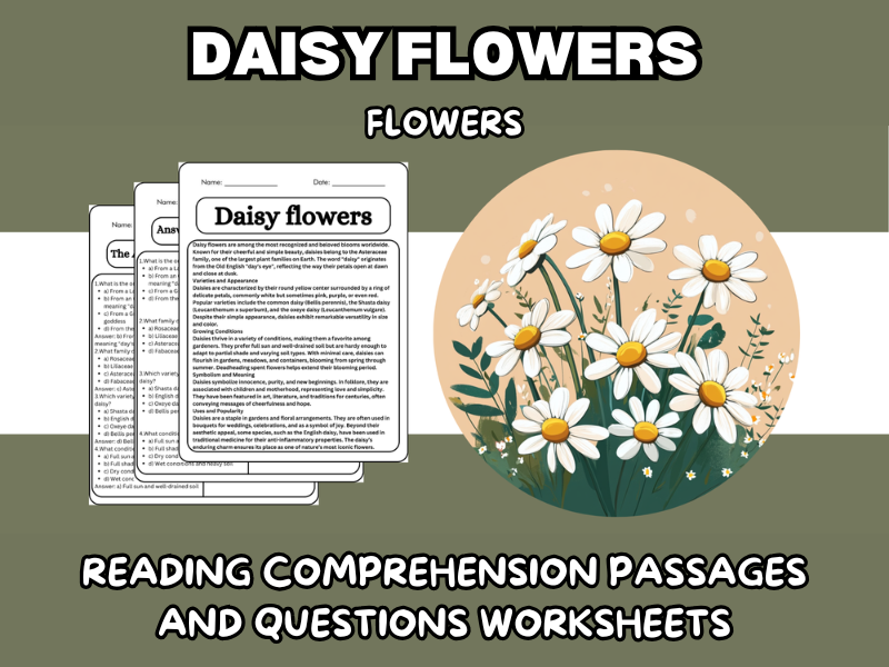 Daisy Flowers - Flowers Reading Comprehension Passages & Questions ...