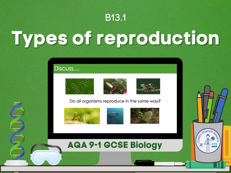 Types of reproduction | Teaching Resources