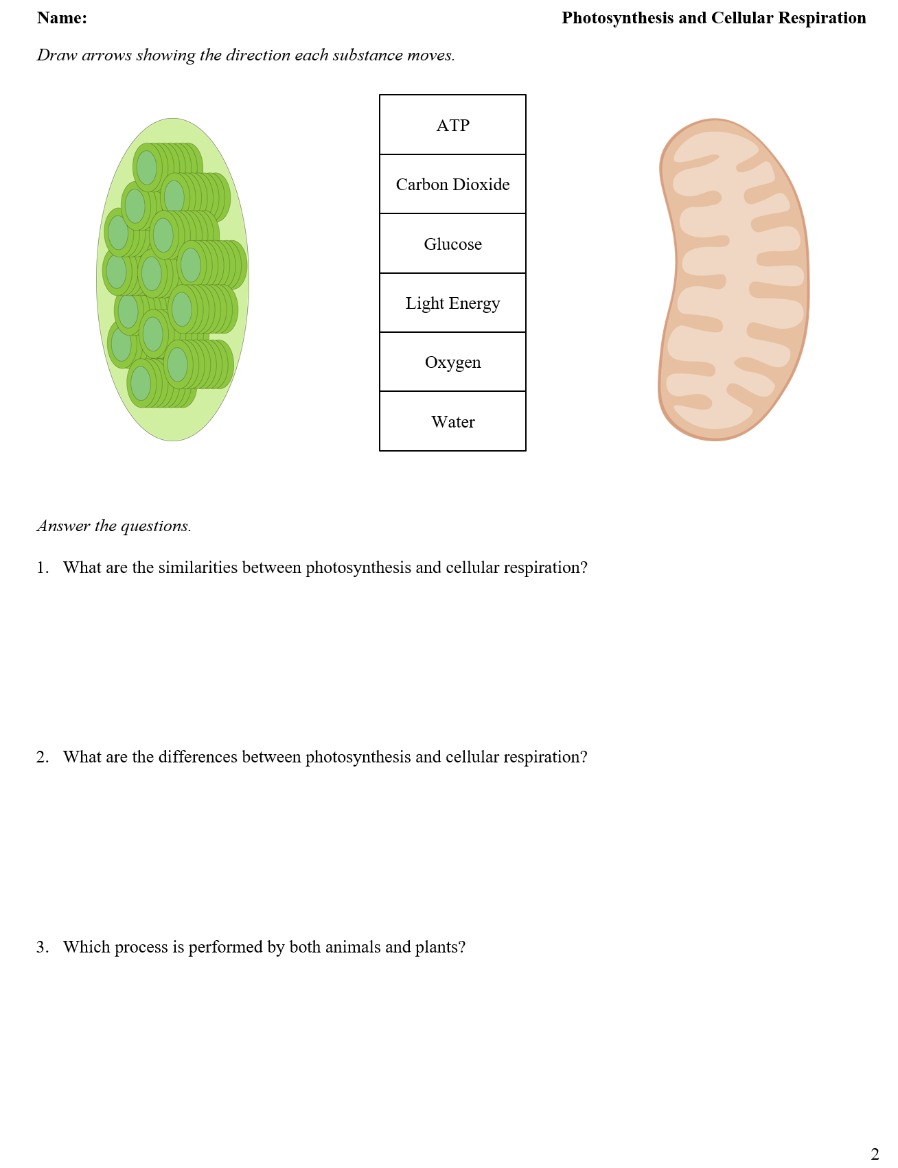 Photosynthesis and Cellular Respiration Comparison Worksheets ...