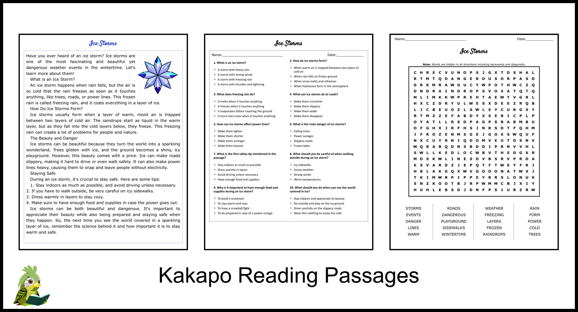 Ice Storms Reading Comprehension and Word Search | Teaching Resources