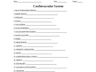 Cardiovascular System Word Scramble for Middle School Science ...