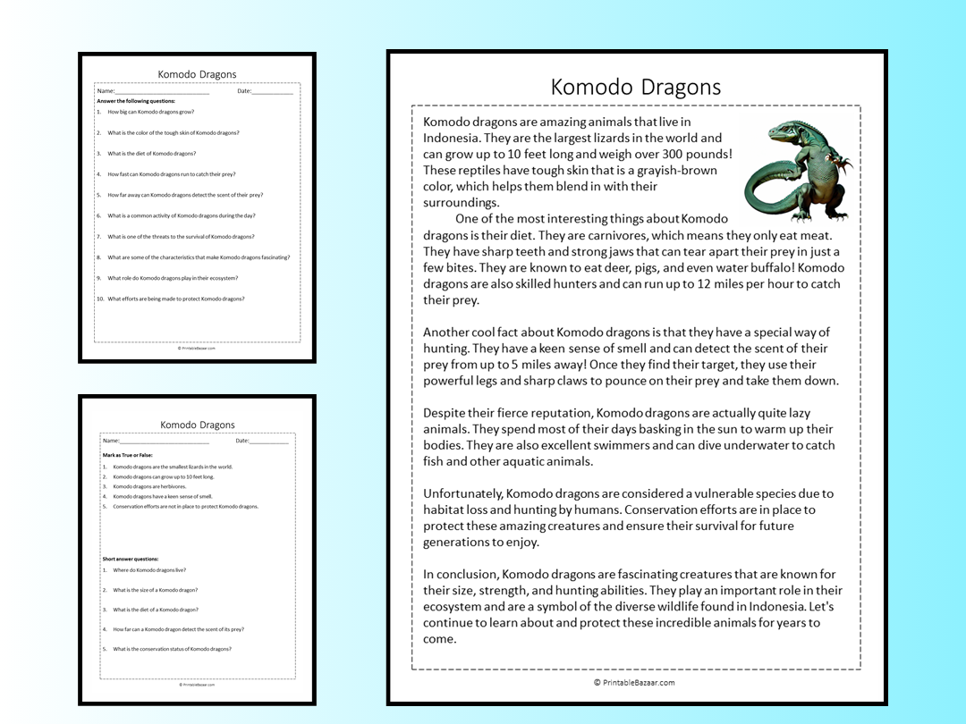 Komodo Dragons Reading Comprehension Passage Printable Worksheet ...