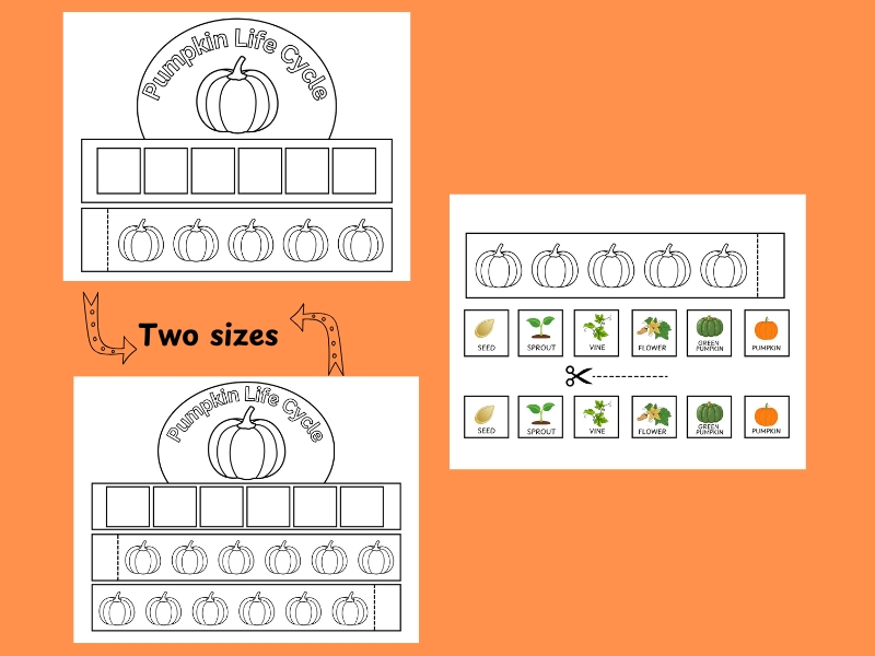 Pumpkin Life Cycle Crown Hat Craftivity | Halloween Wroksheet Activity ...