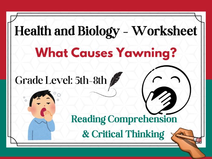 What Causes Yawning?: Reading Comprehension Passages & Questions ...