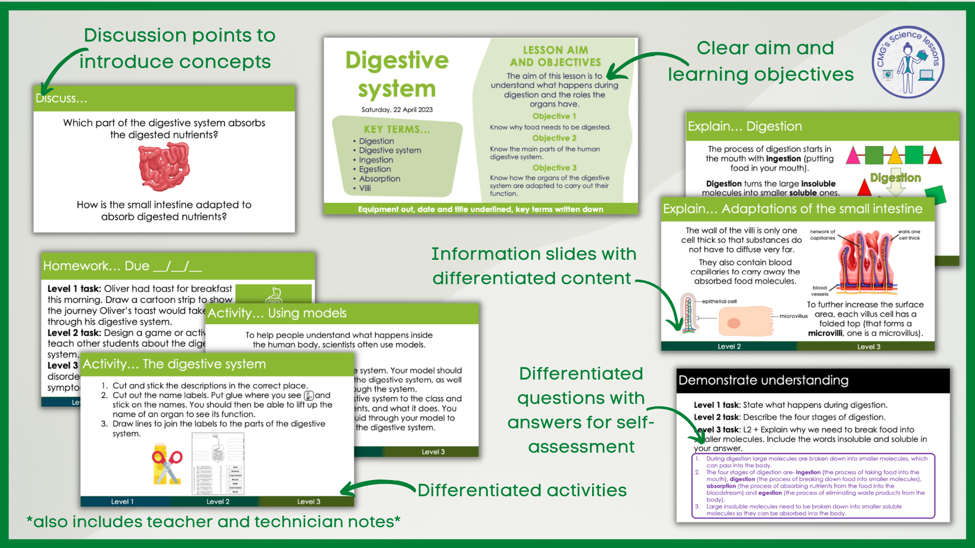 Digestive system | Teaching Resources