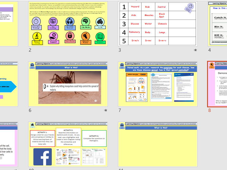 KS4 Triple Biology Unit 3 – Complete PowerPoint lesson on Bacteria and ...