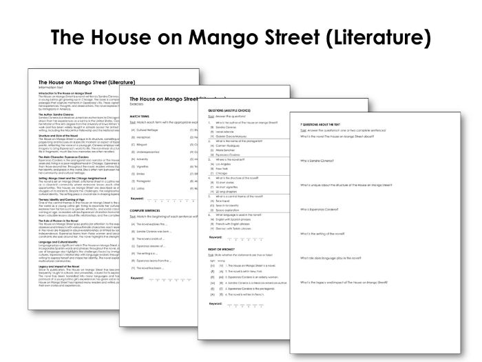 The House on Mango Street (Literature) | Teaching Resources
