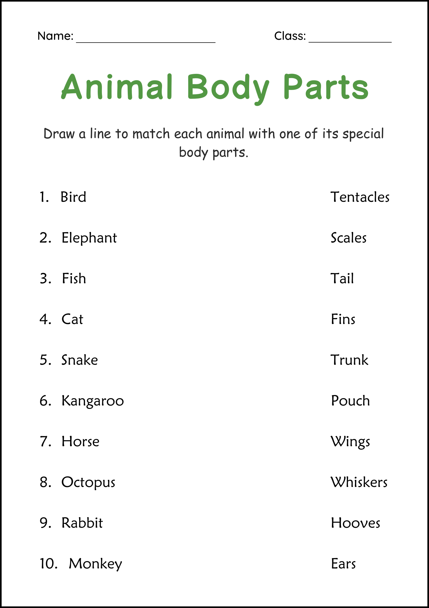 Printable Body Parts of Animals Activity Worksheets for Grade 2, 3, 4 ...