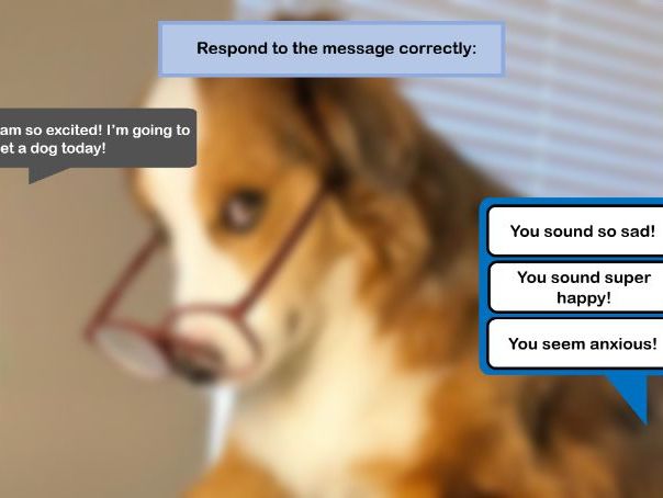 English Language Quiz Teaching Resources