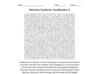 Sensory Systems Vocabulary II Word Search for Medical Terminology ...