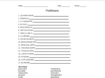 Poriferans Word Scramble for Invertebrate Biology | Teaching Resources