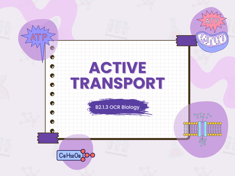 Active Transport – OCR Biology A GCSE (B2.1.3) | Teaching Resources