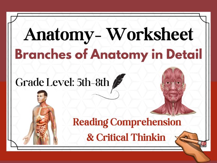 Branches of Anatomy in Detail: Reading Comprehension Passages ...