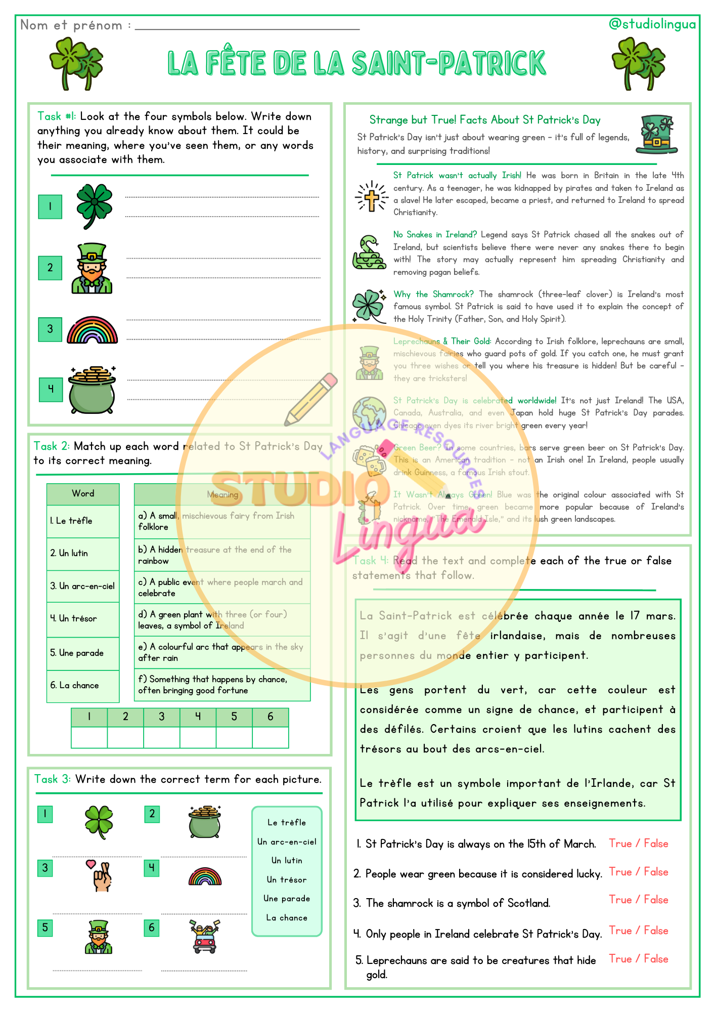St Patrick's Day French Worksheet | Vocabulary Building | Printable PDF ...