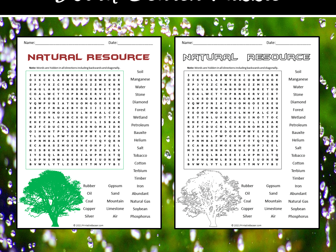Natural Resource Word Search Puzzle Teaching Resources