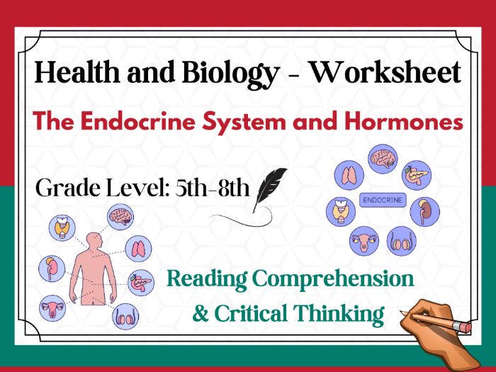 The Endocrine System and Hormones: Reading Comprehension Passages ...