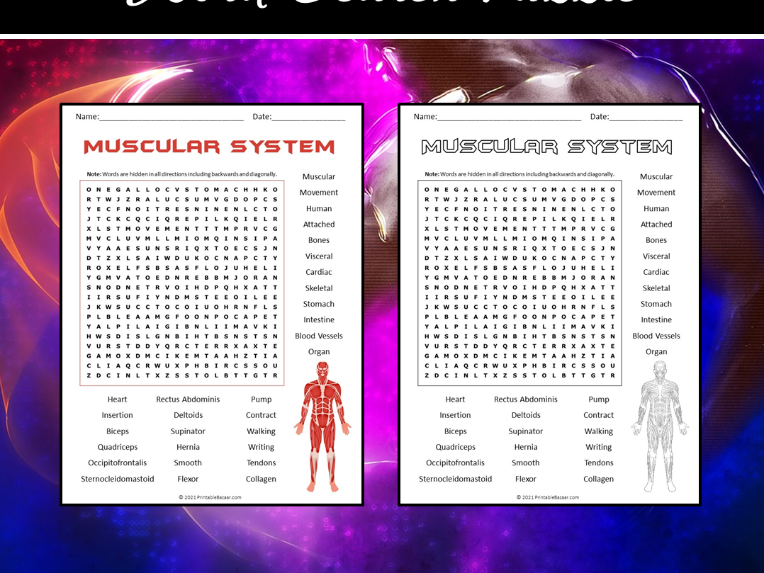 Muscular System Word Search Puzzle Teaching Resources