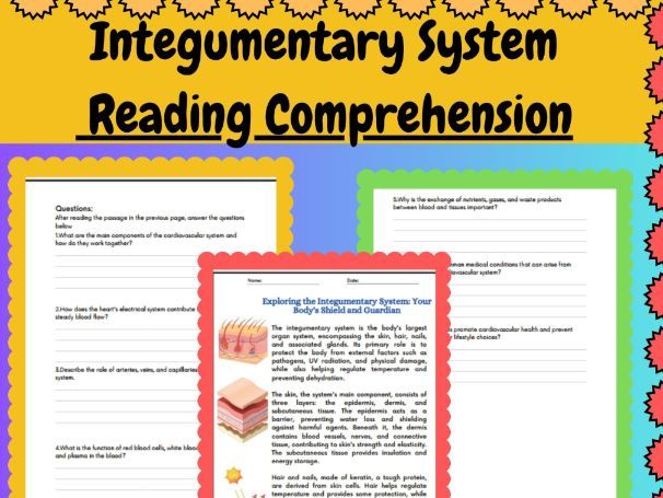 Human Body Systems | Integumentary System | Reading Comprehension ...