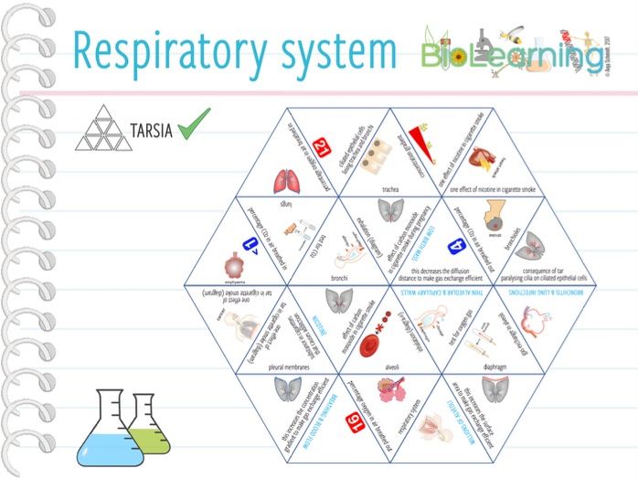 Respiratory system - Tarsia (KS3/4) | Teaching Resources