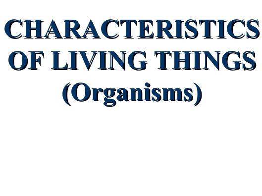 Unit 1: Characteristics and classification of living organism (IGCSE Biology) | Teaching Resources