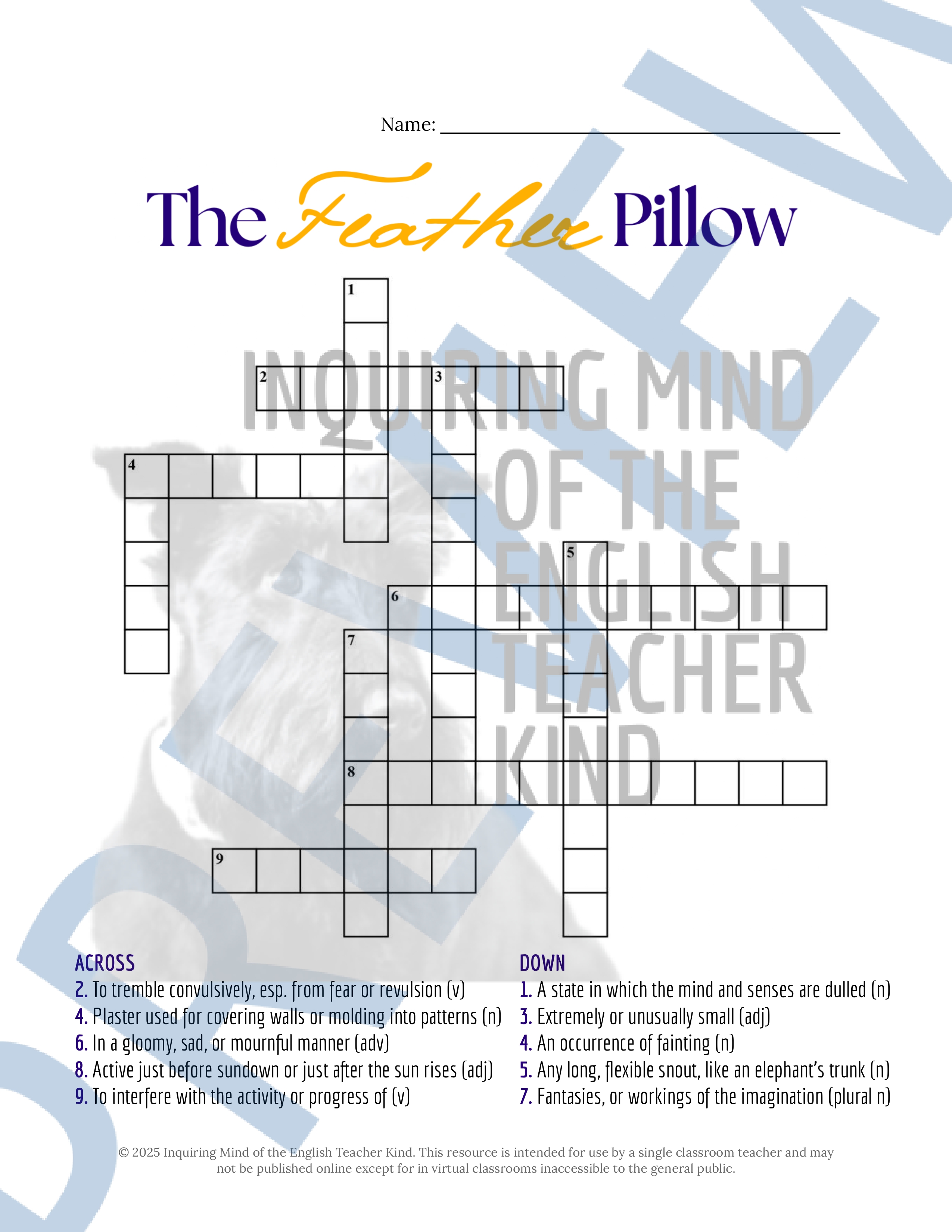 "The Feather Pillow" by Horacio Quiroga Vocabulary Activities ...