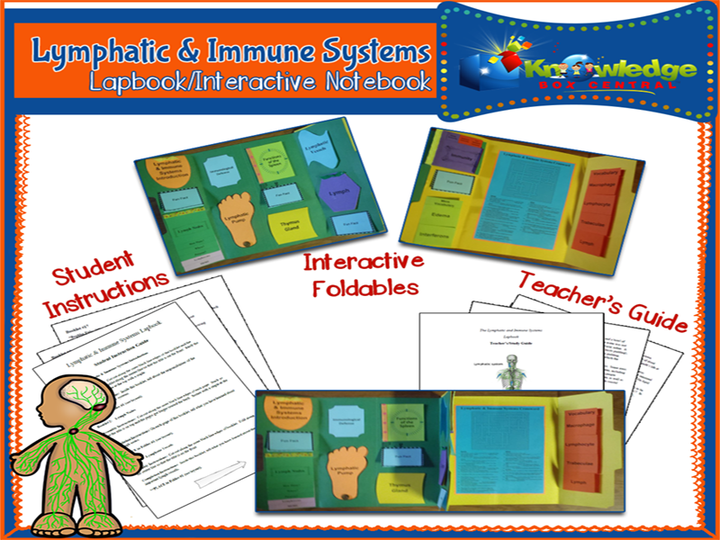 Lymphatic & Immune Systems Lapbook | Teaching Resources