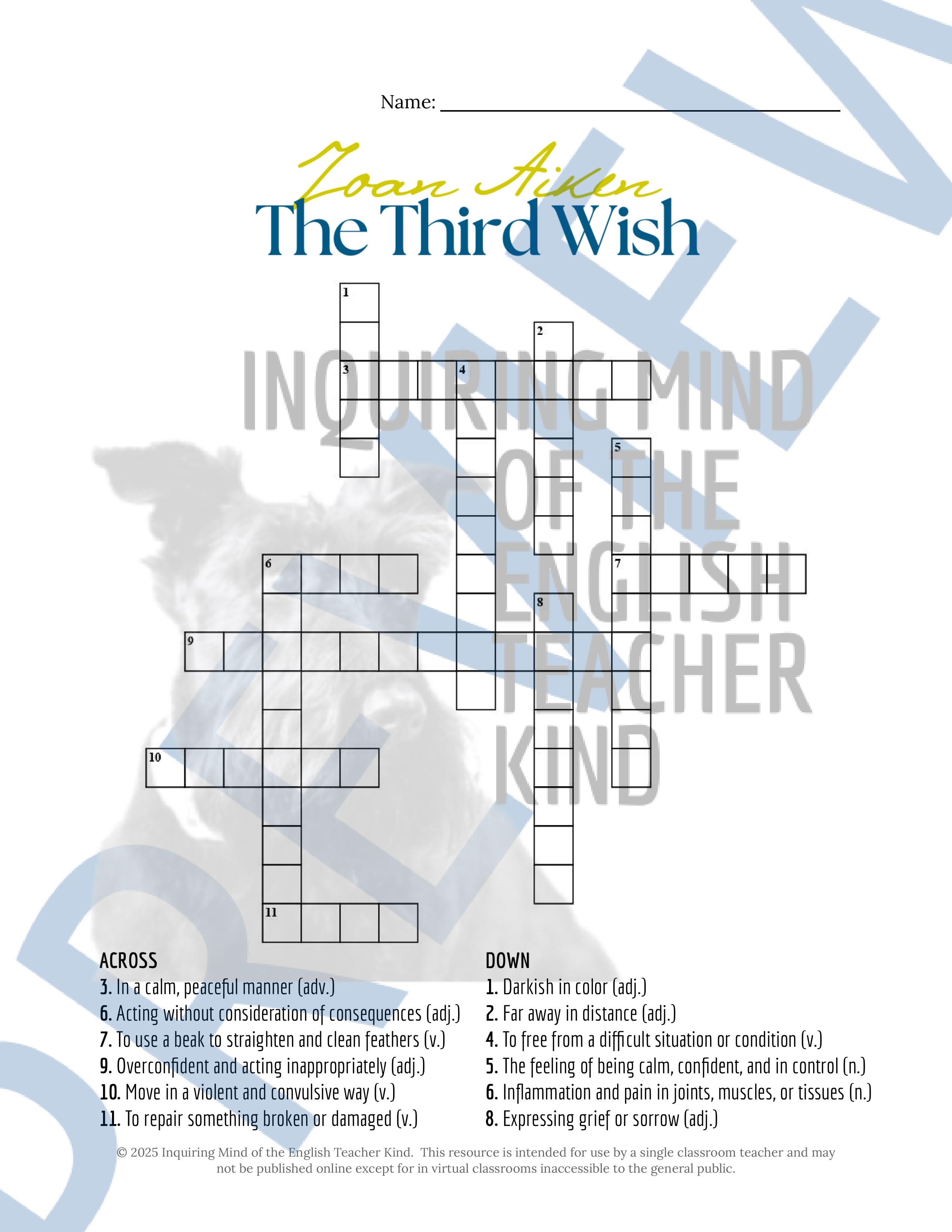"The Third Wish" by Joan Aiken Vocabulary Enrichment Activities ...