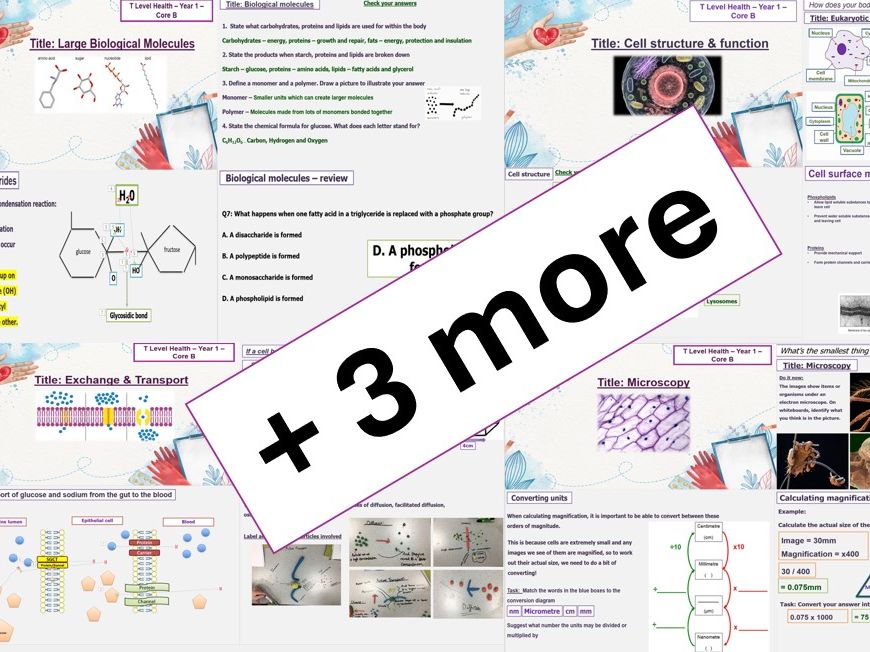 Cells & Biological molecules - B1 Science concepts - T Level Health ...
