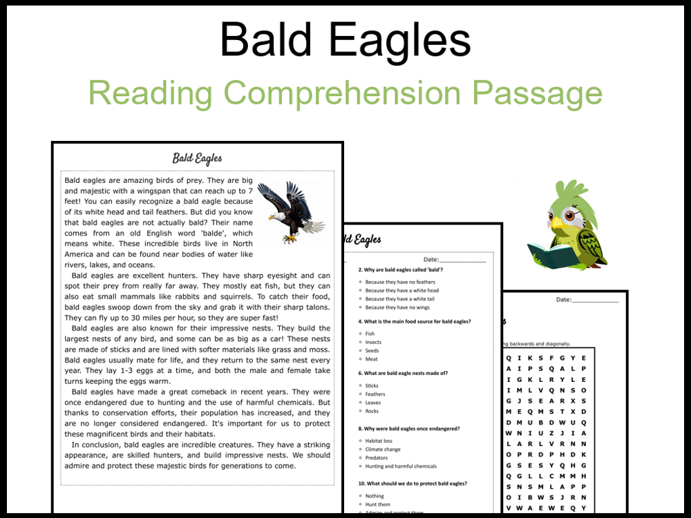Bald Eagles Reading Comprehension and Word Search | Teaching Resources