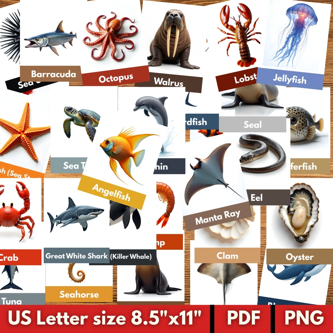 Sea Animals Flashcards | Realistic Ocean Animals | Preschool ...