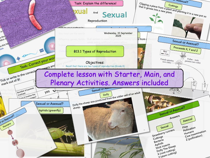 13.1 Types of Reproduction (sexual & asexual) AQA GCSE biology ...