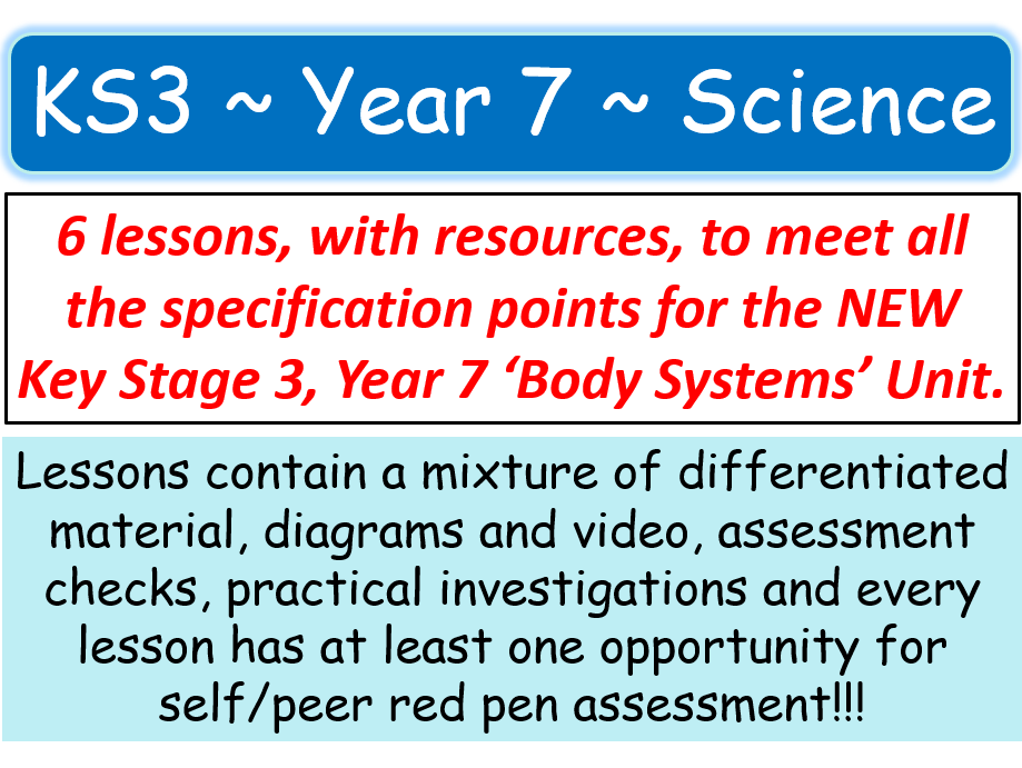 NEW KS3 Year 7 B2 Structure Function Of Body Systems Teaching 