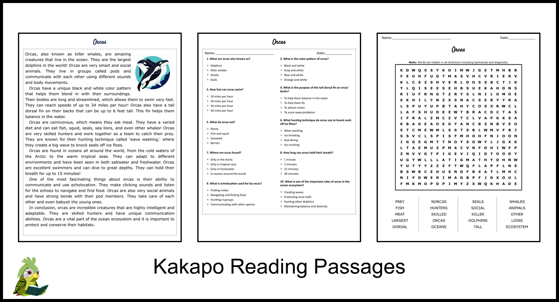 Orcas Reading Comprehension and Word Search | Teaching Resources
