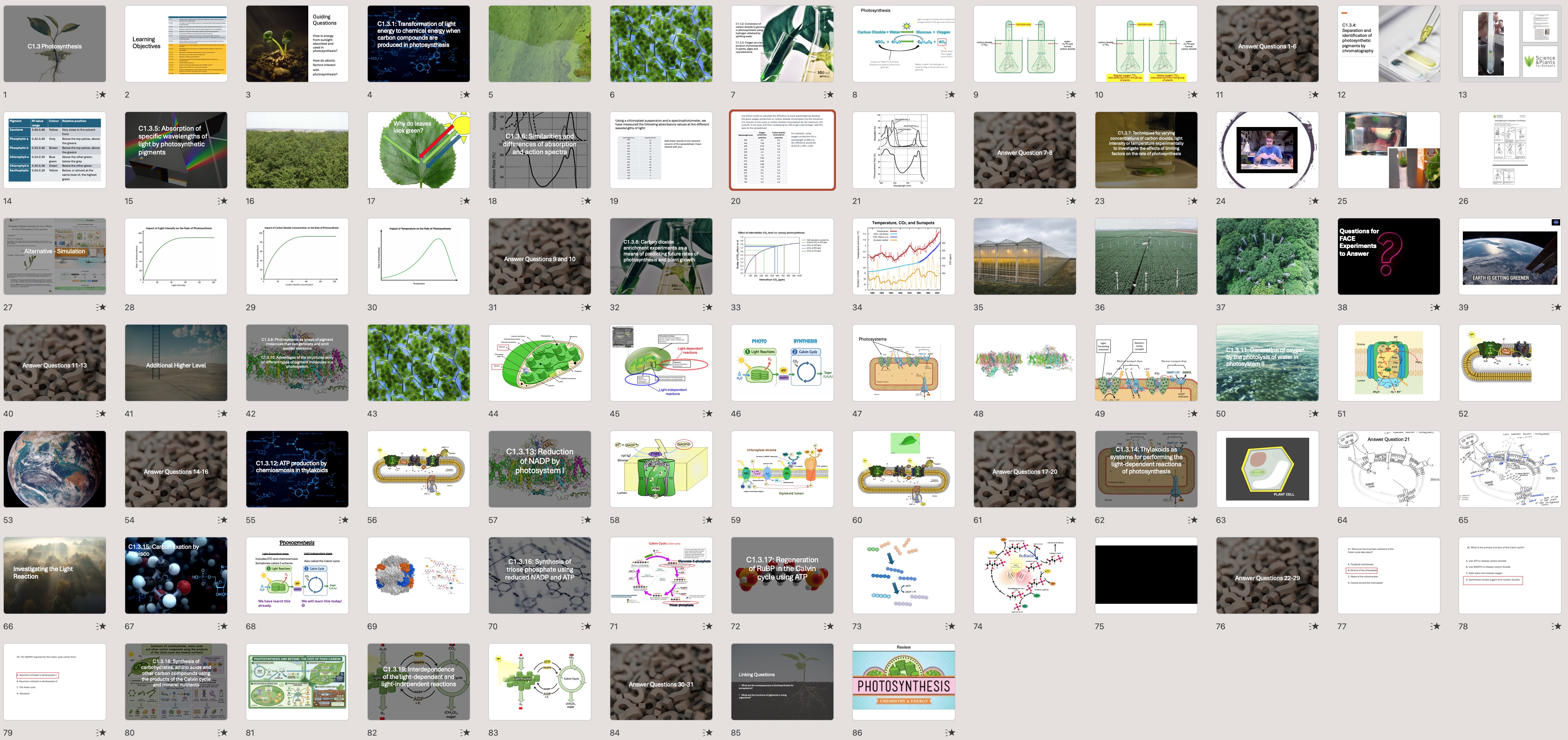 IBDP Biology C1.3 Photosynthesis Lesson Pack | PowerPoint + Student ...