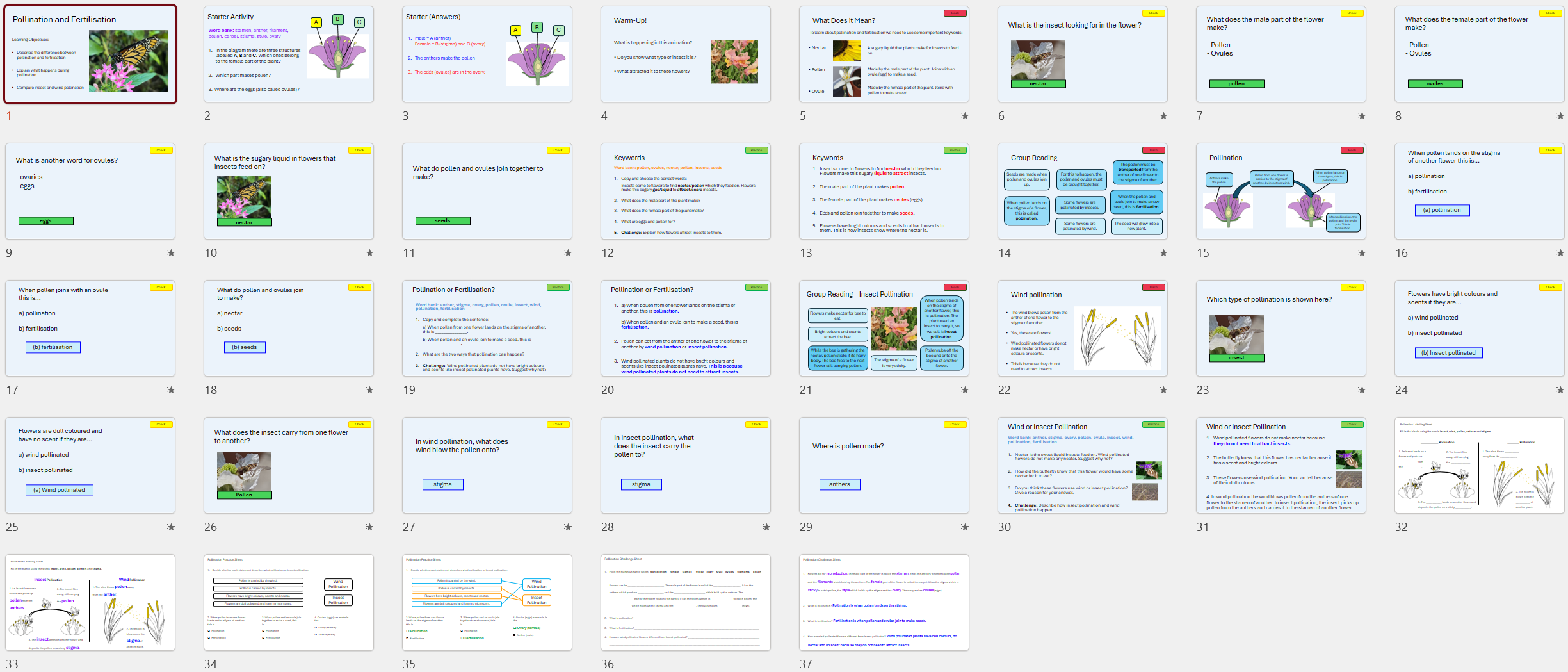 Pollination and Fertilisation Lesson KS2 | Teaching Resources