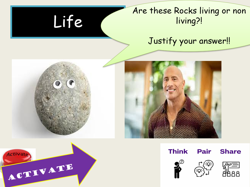 Senior Cycle Biology: Characteristics of life | Teaching Resources