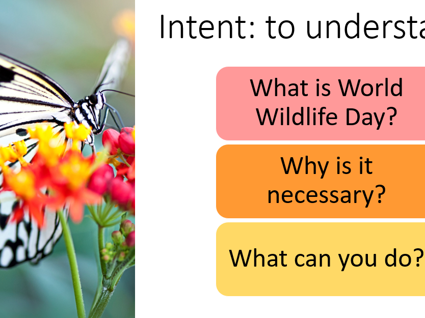 World Wildlife Day Lesson assembly Teaching Resources world-wildlife-day-lesson-assembly-teaching-resources