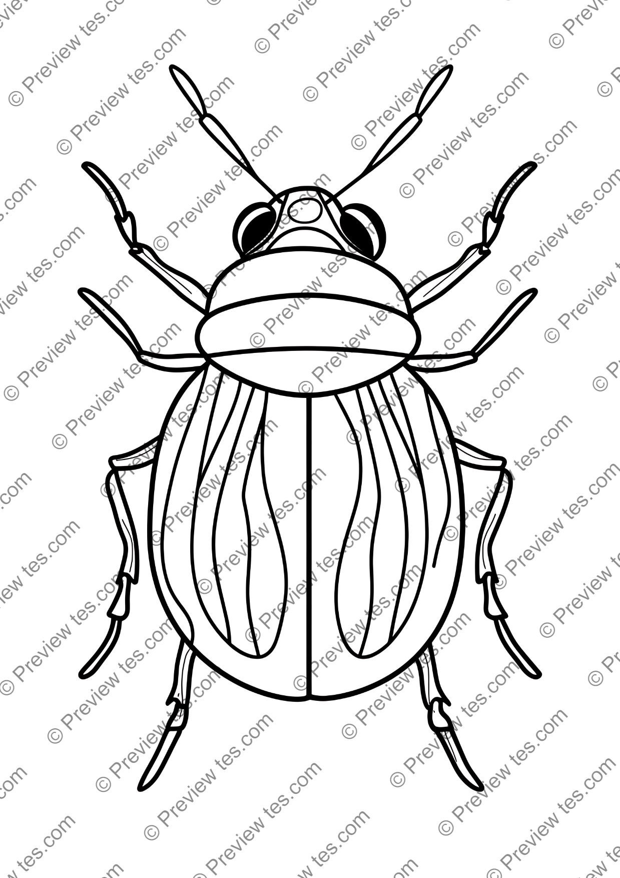 Insects and Bugs Printable Colouring Pages | Educational Fun for Young ...