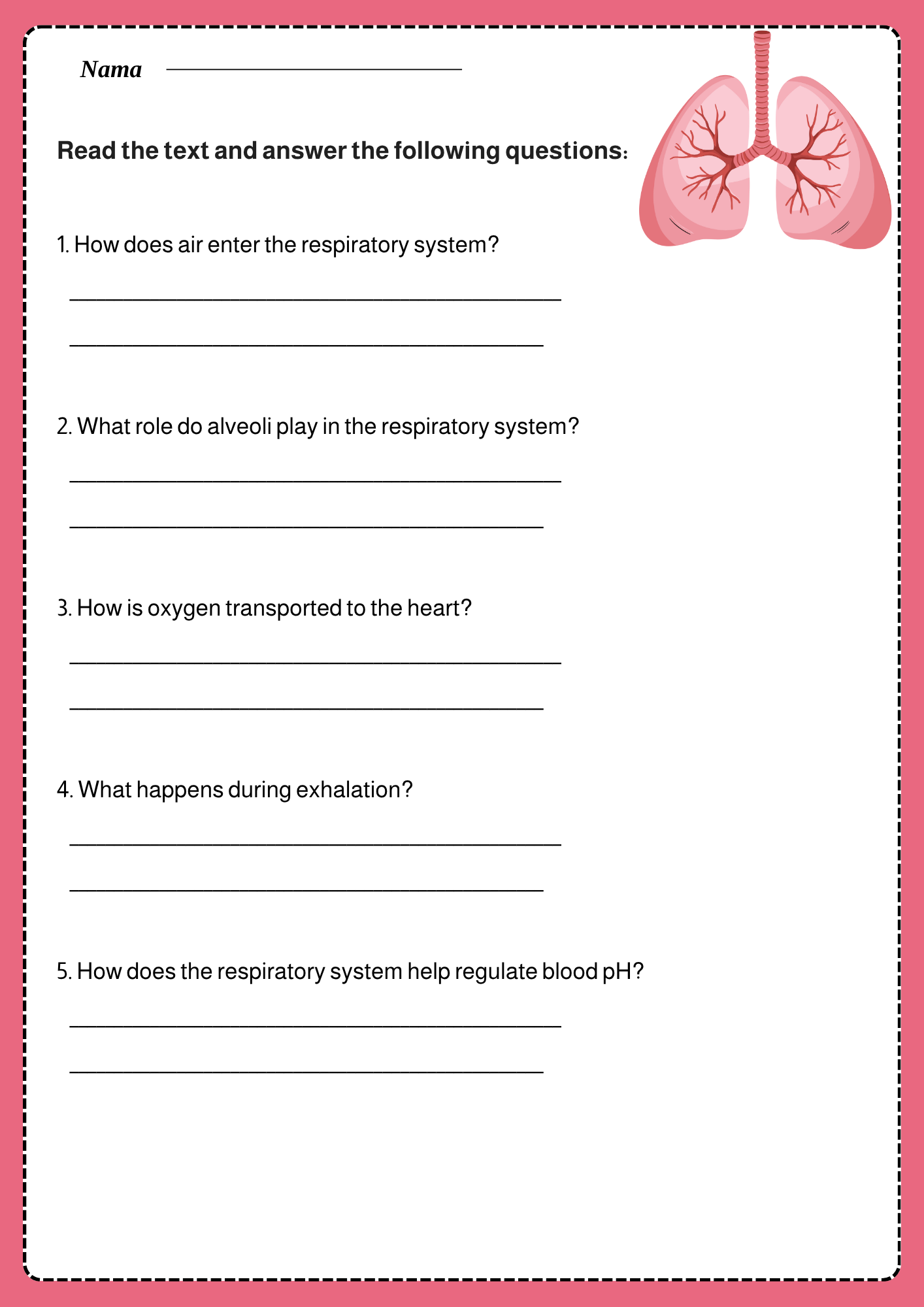 Reading Comprehension Worksheet: The Respiratory System and Breathing ...