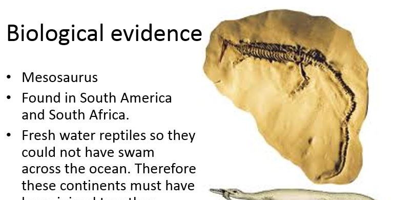 Secondary geography teaching resources: Natural hazards | TES